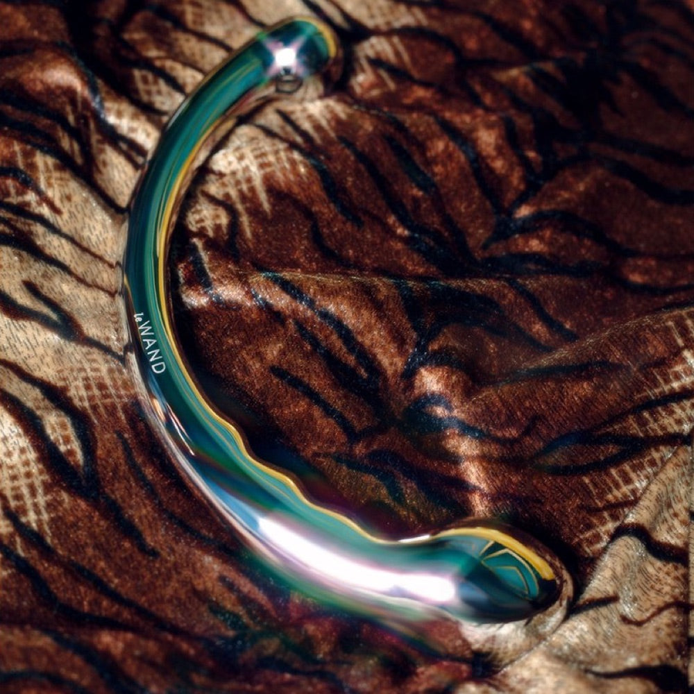 Hoop Stainless Steel Wand G-Spot & P-Spot Dildo – Extreme Toyz